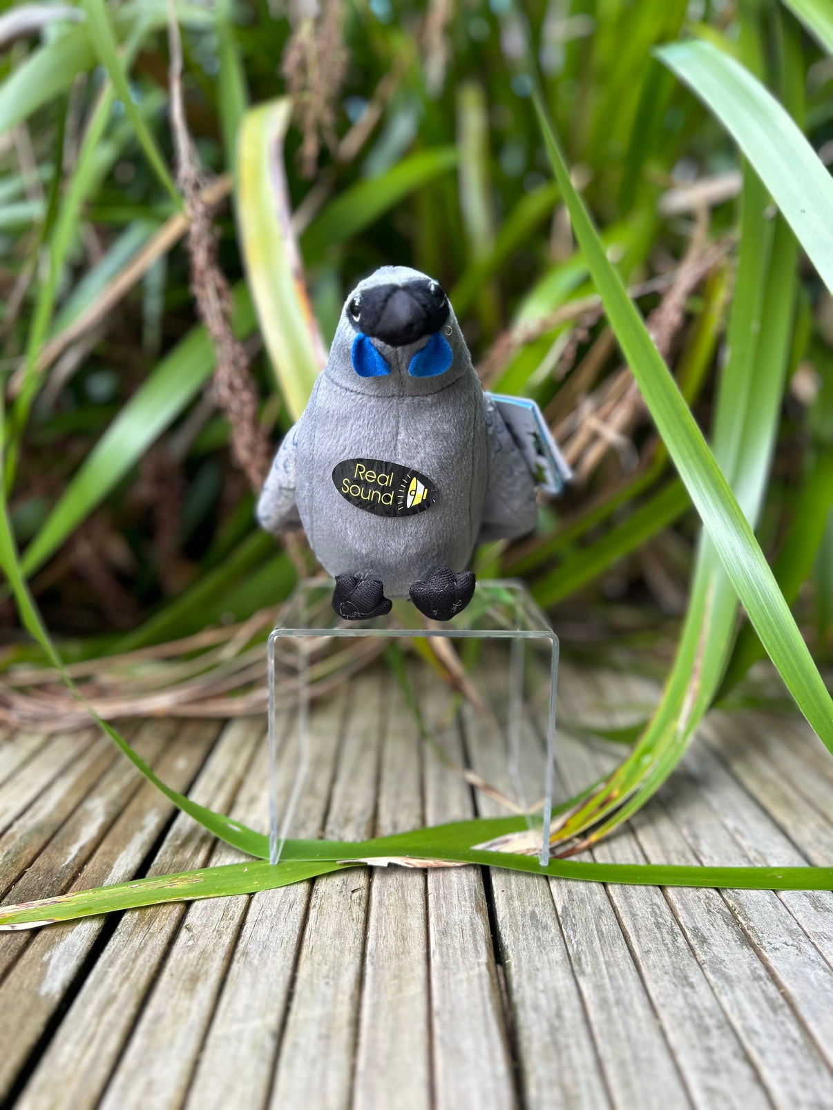 Antics - Sound Bird Plush Toy, Kokako – Sanctuary Mountain ...